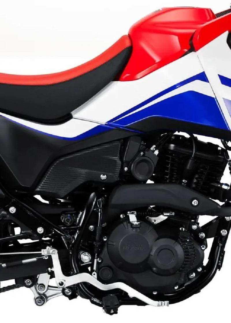 Honda CRF 190L: A "Mini-Africa Twin" | Motociclismo Online